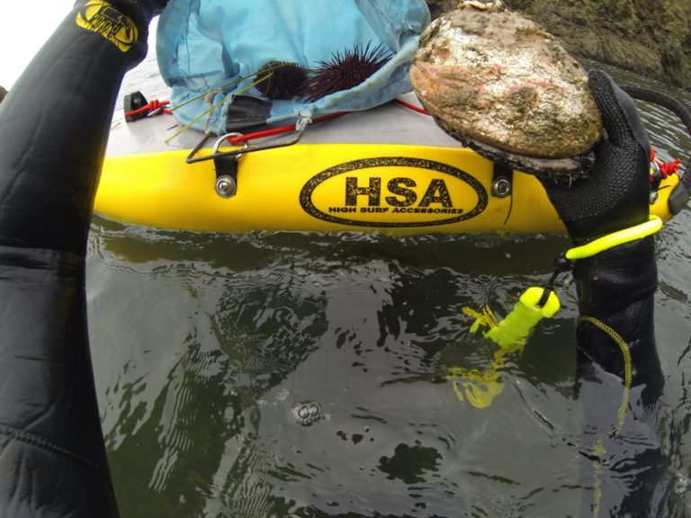HSA Dive Float test: Mendocino Coast - High Surf Rescue